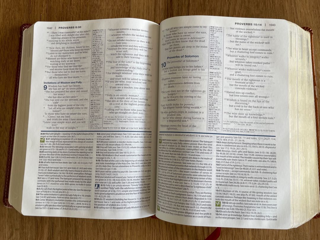 NIV Study Bible by Zondervan, Hobbies & Toys, Books & Magazines ...