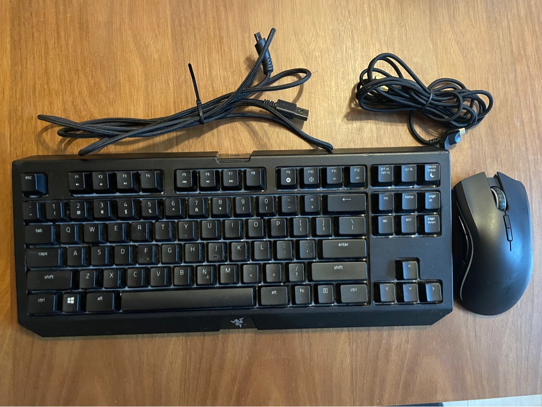 Razer blackwidow v2 + mamba mouse, 電腦＆科技, 電腦周邊及配件, 電腦鍵盤及相關產品 - Carousell
