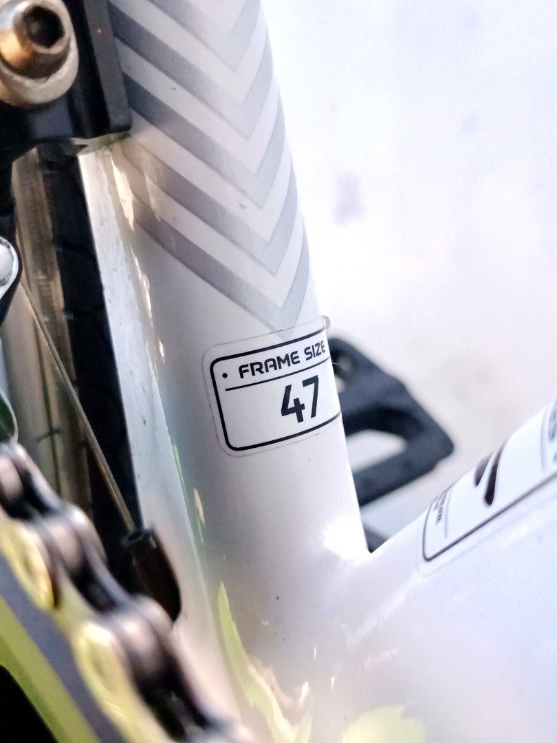 JAVA Siluro 3 Road Bike RB, Sports Equipment, Bicycles & Parts ...