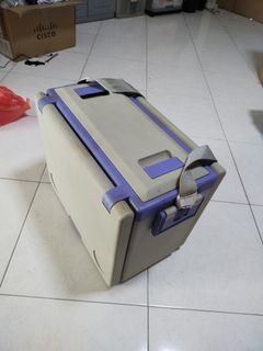 Transformers Beverage cooler box, Sports Equipment, Fishing on Carousell