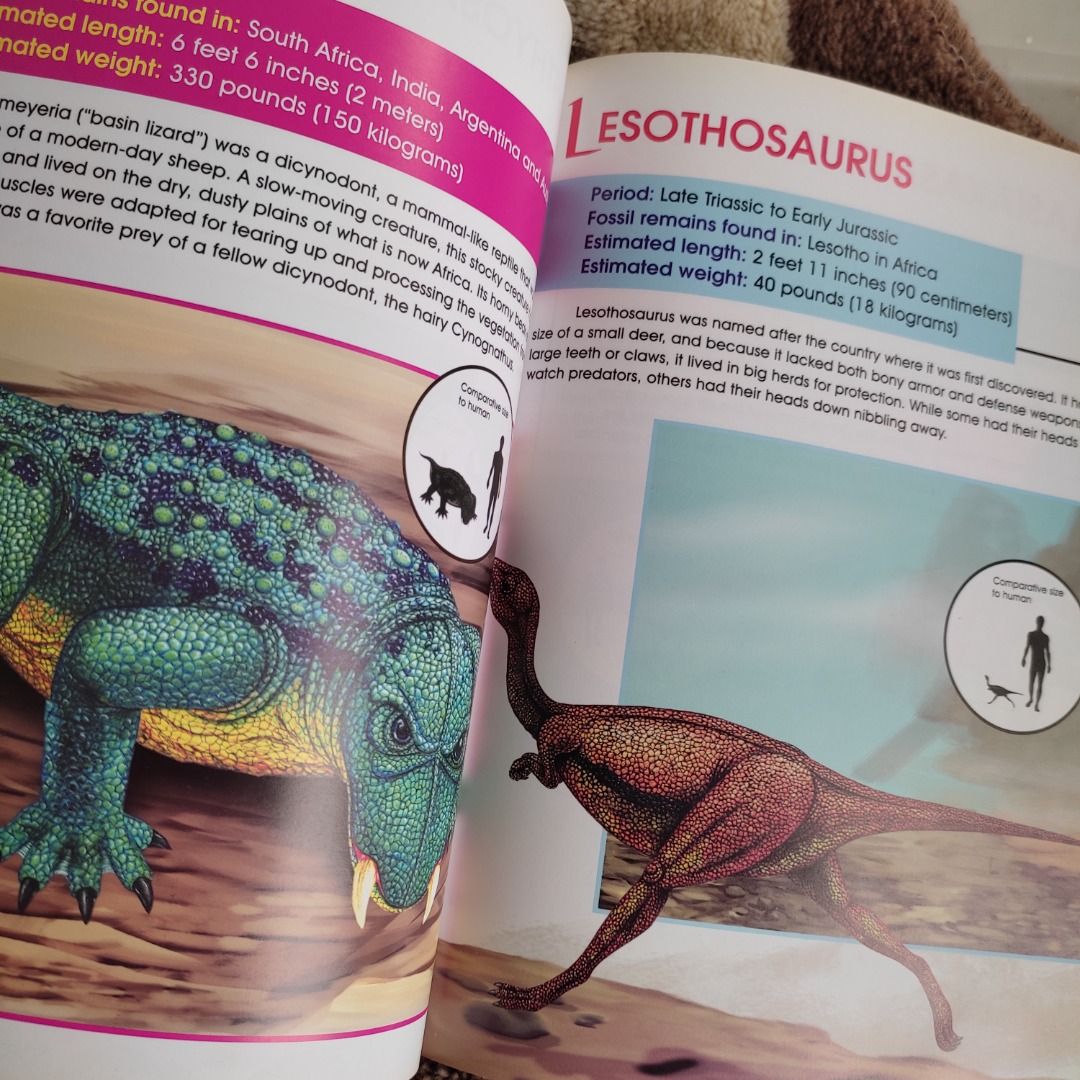 Dinosaurs Encyclopedia on Carousell