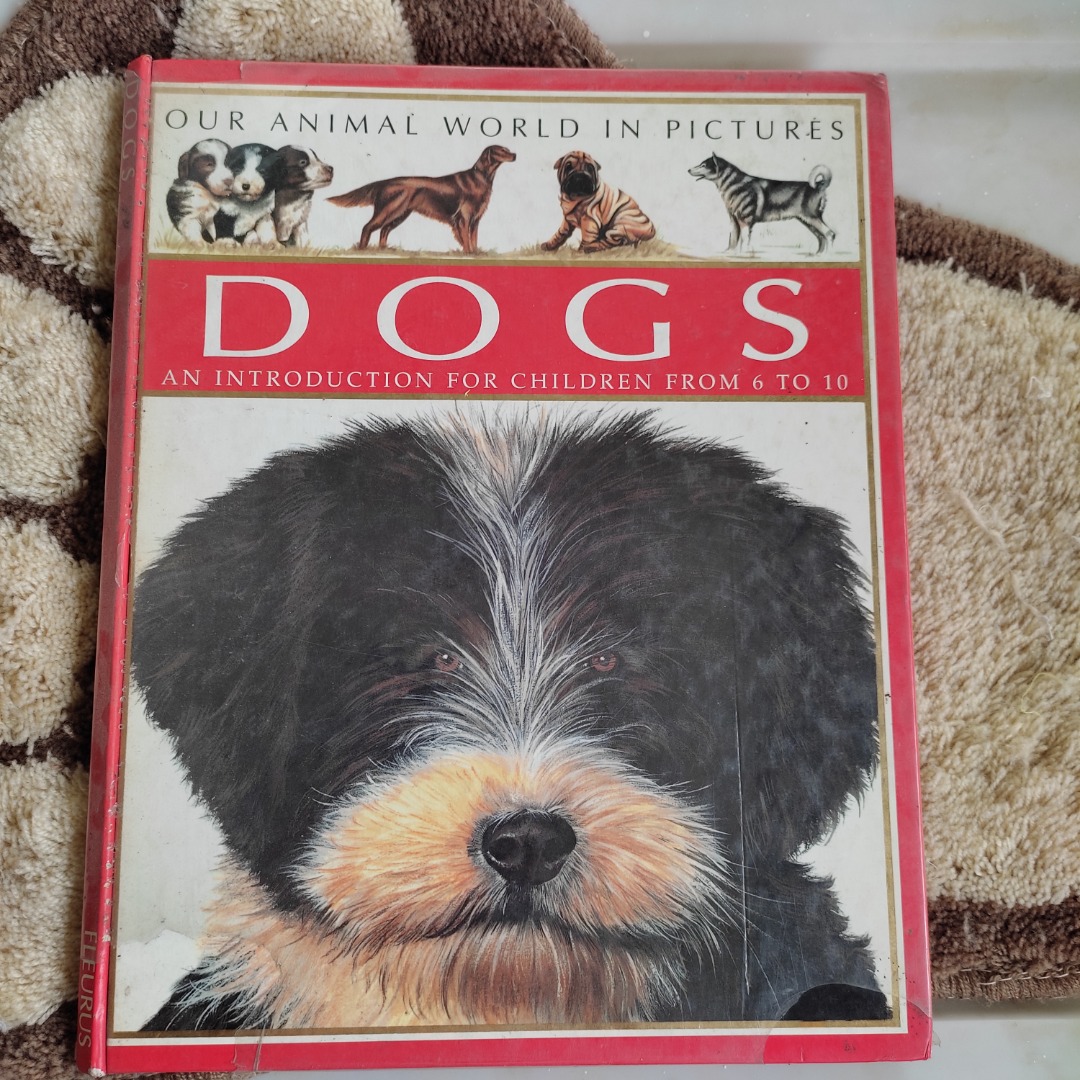 Dogs Book Our Animal World in Pictures Introduction For Children ...