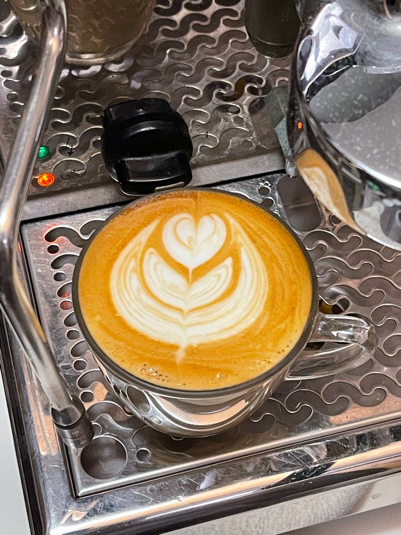 Reneka Amici E61 Espresso Machine with flow control, TV & Home ...