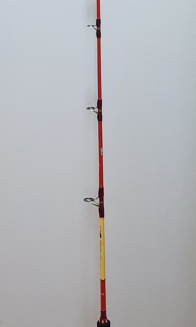 Expert Graphite Jig Pro 2, Sports Equipment, Fishing on Carousell