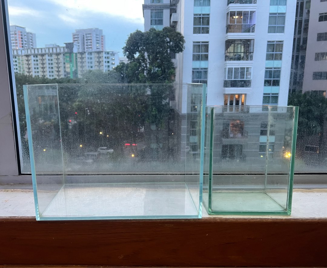 Two Fish tanks, Pet Supplies, Homes & Other Pet Accessories on Carousell