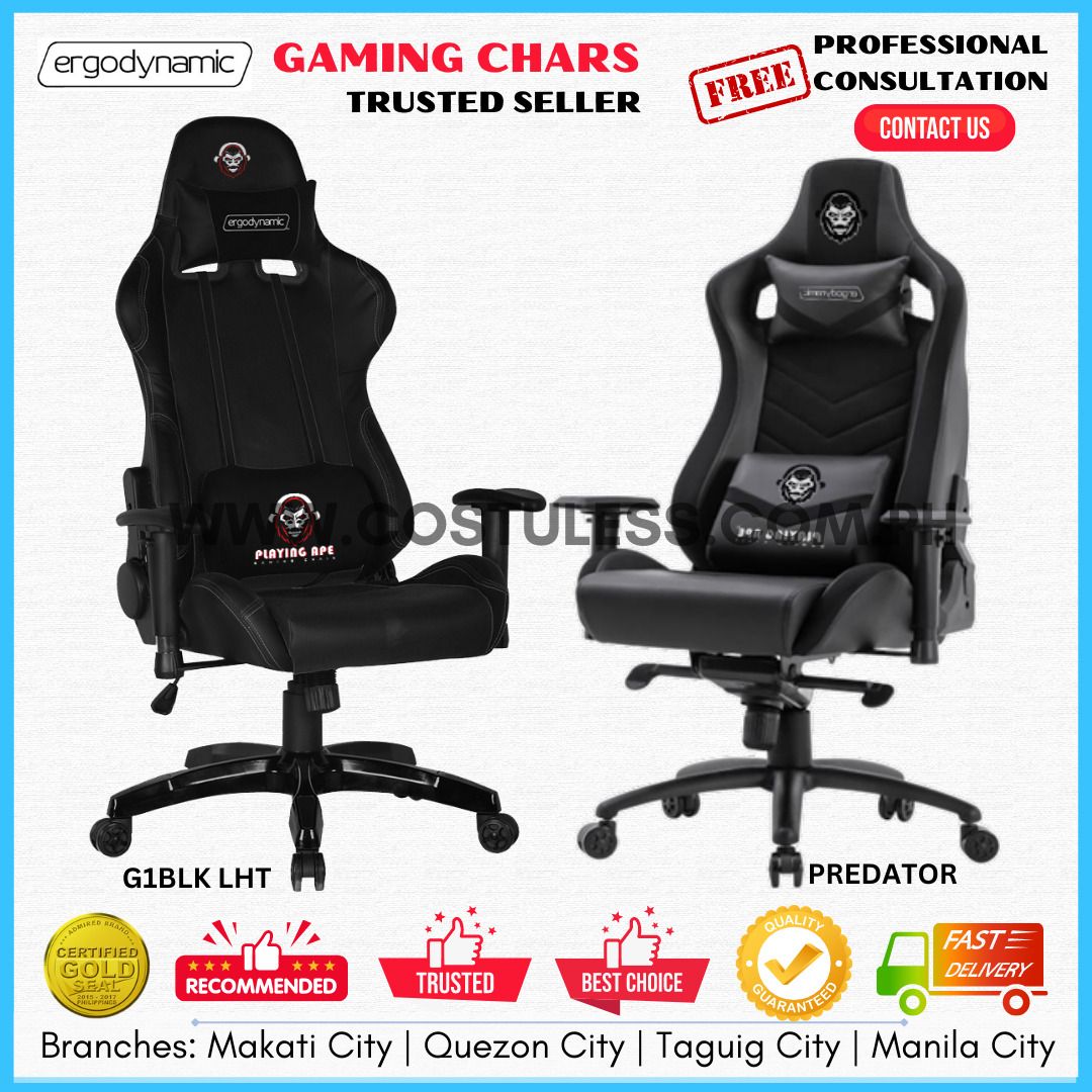 Gaming Chairs, Gaming Furniture, Ergonomic Chair, Racing Chair ...