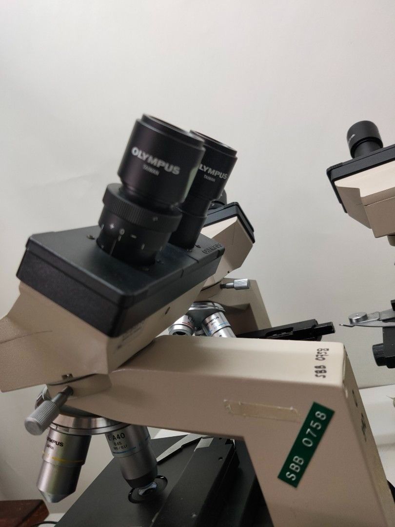 OLYMPUS CH Microscope for sale @ $250 each (AAR 1813) (B5), Health ...