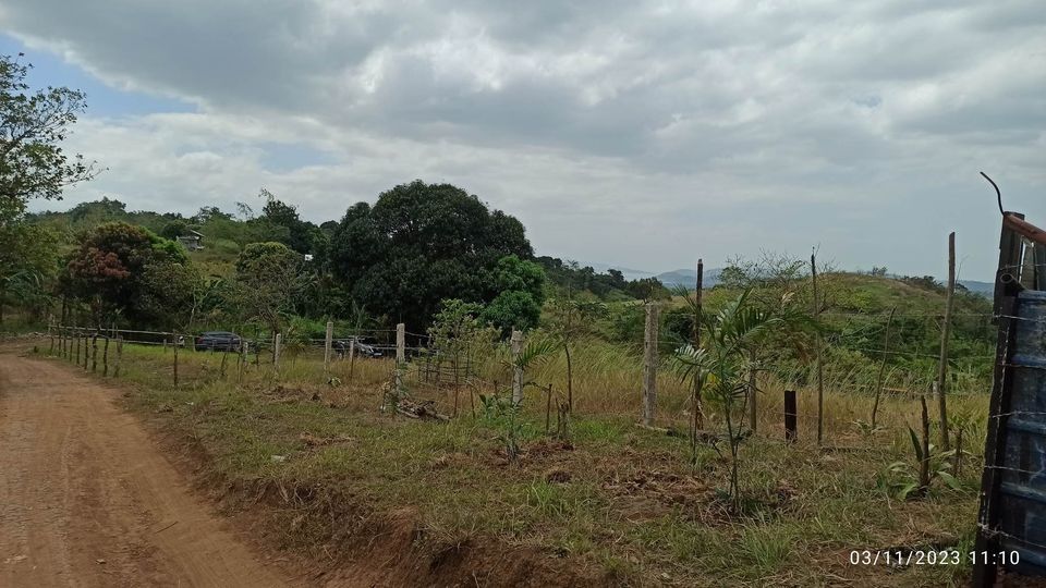 Property for sale Morong rizal, Property, For Sale, Lot on Carousell