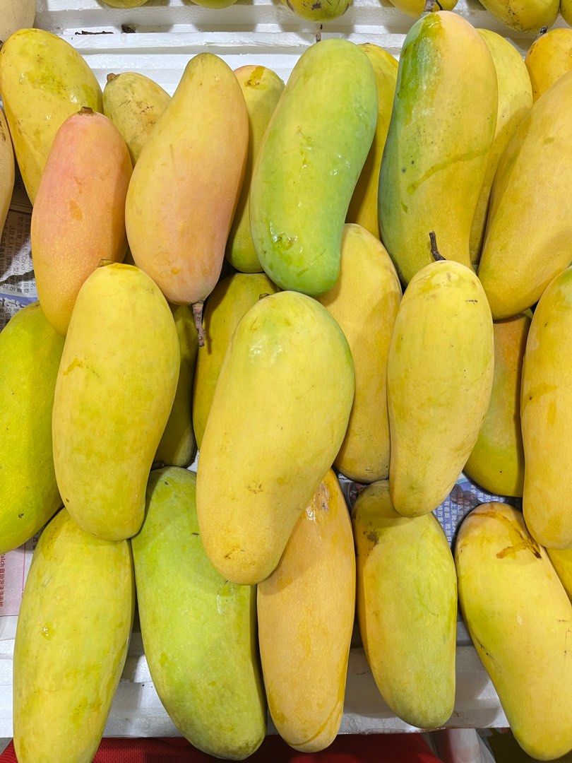Thailand Rainbow Mango, Food & Drinks, Other Food & Drinks on Carousell
