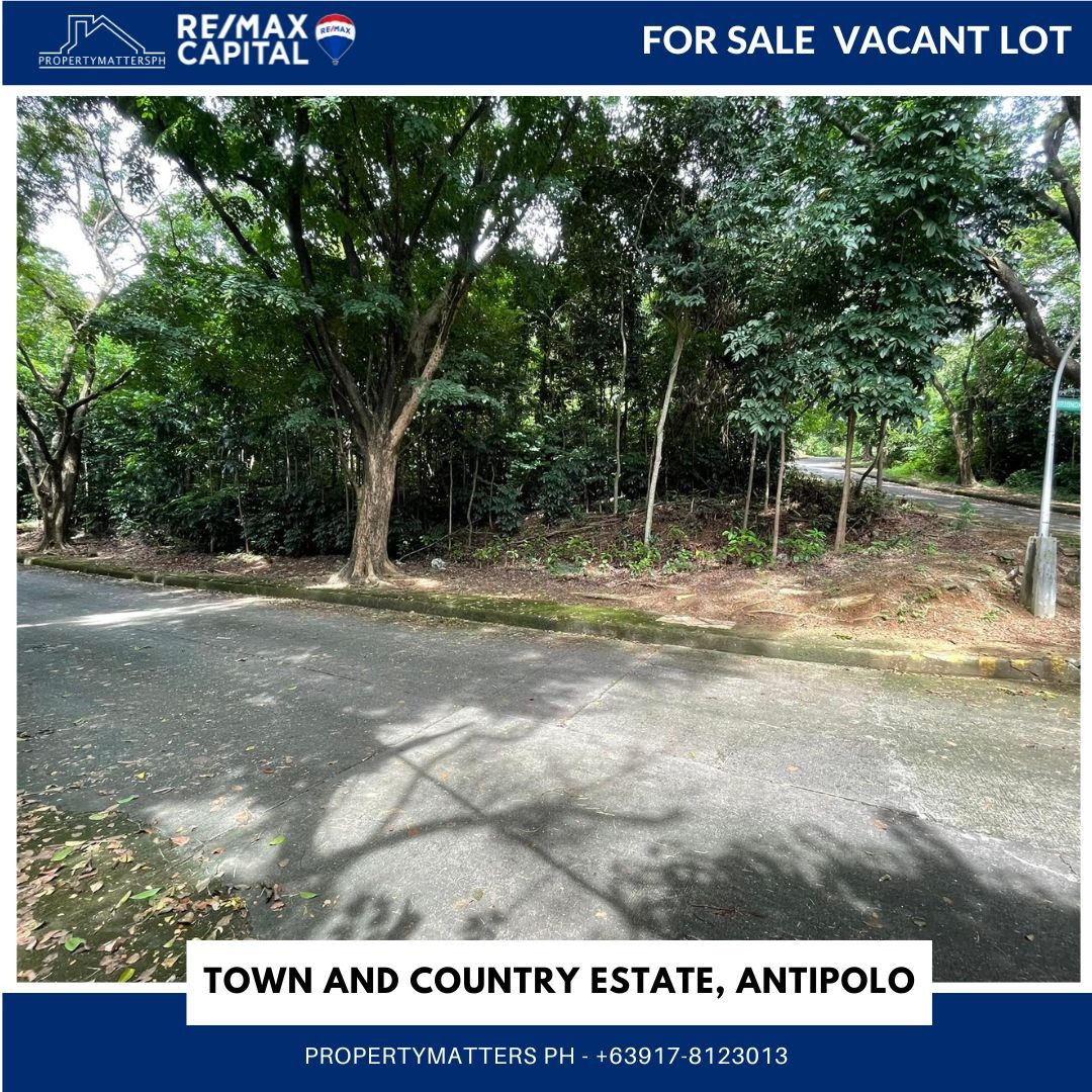 TOWN AND COUNTRY ESTATES VACANT LOT WITH VIEW, Property, For Sale, Lot ...