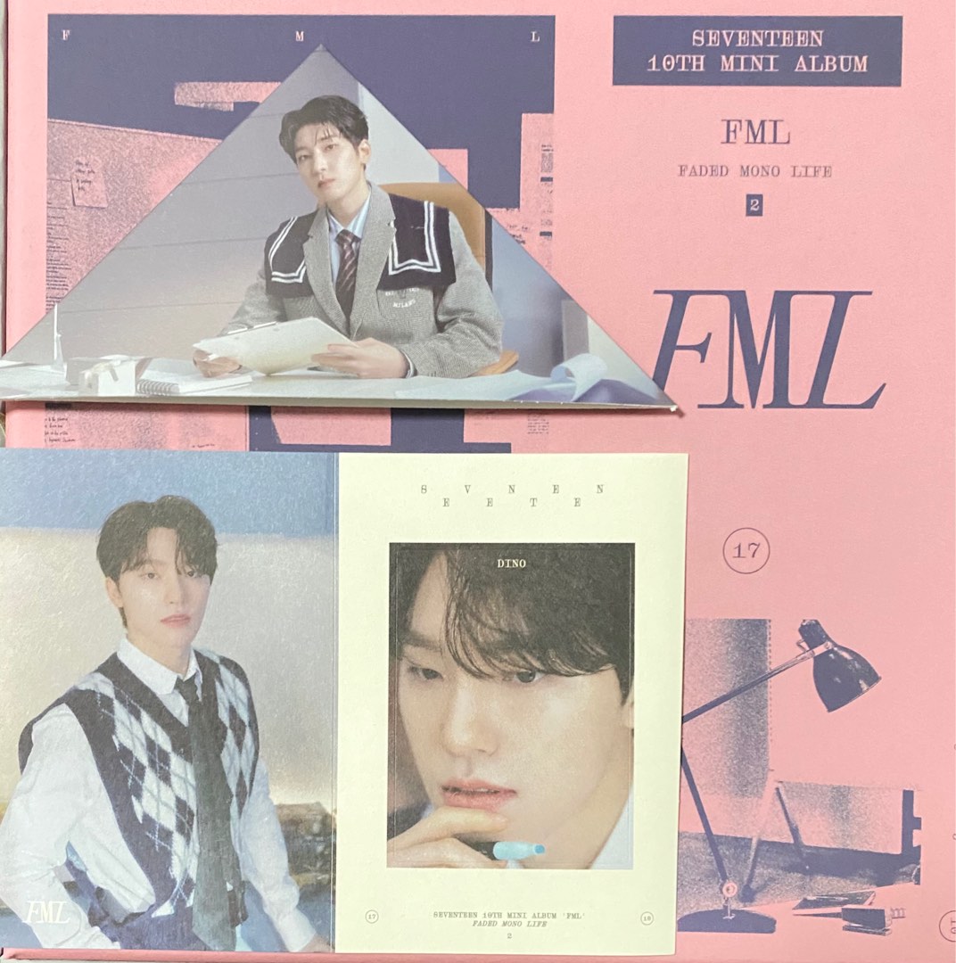 WTT SEVENTEEN SVT FML INCLUSIONS DINO TO JOSHUA, Hobbies & Toys, Memorabilia & Collectibles, K ...