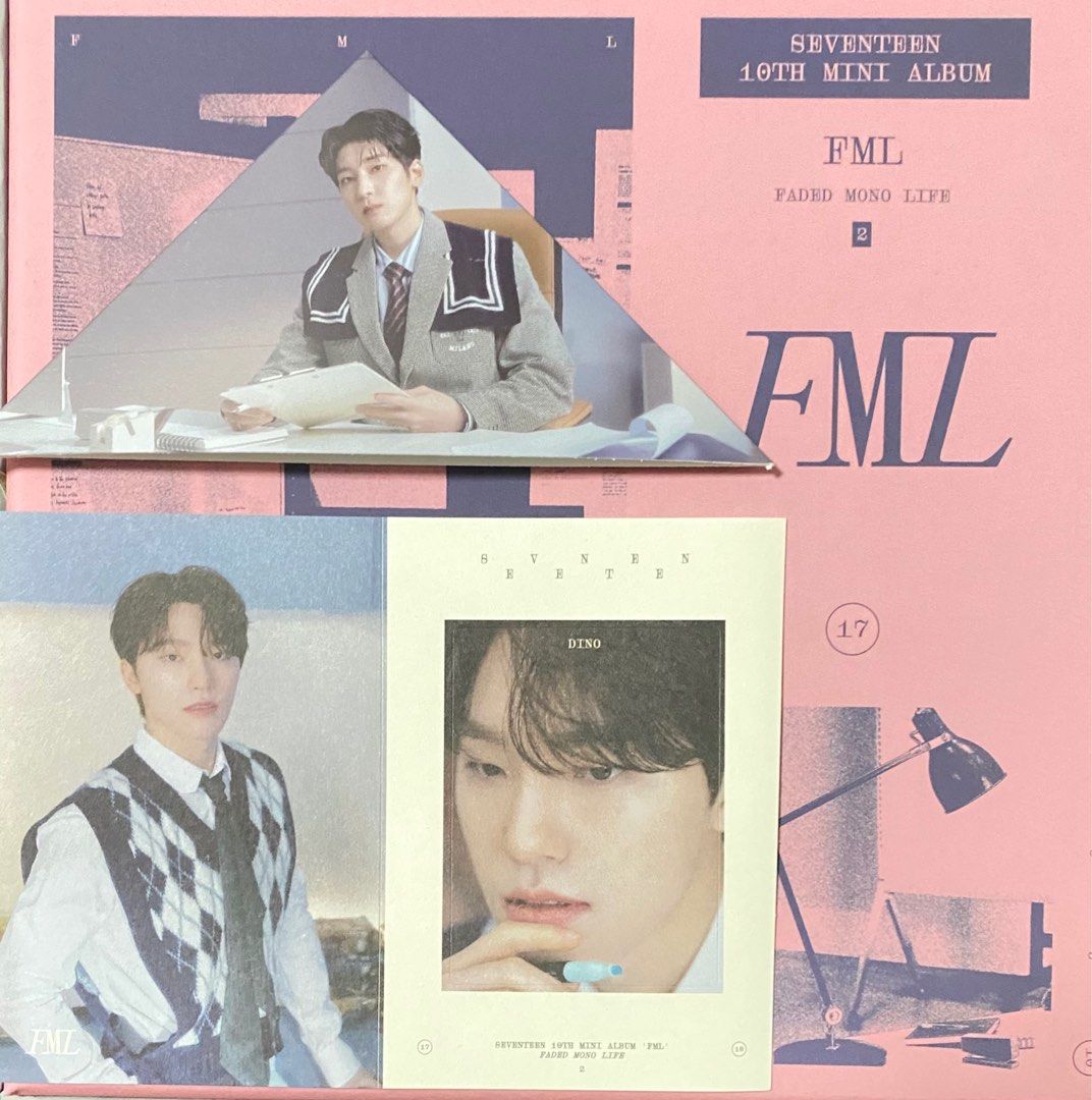WTT SEVENTEEN SVT FML INCLUSIONS DINO TO JOSHUA, Hobbies & Toys, Memorabilia & Collectibles, K ...