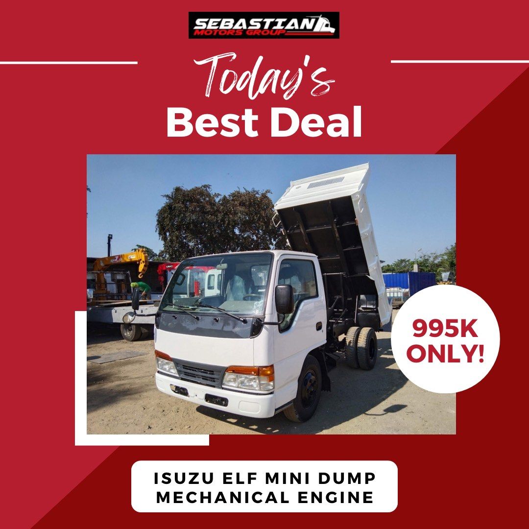 2021 Isuzu Elf Mini Dump Truck Camel Chassis Molye 4HF1 Inline NO ...