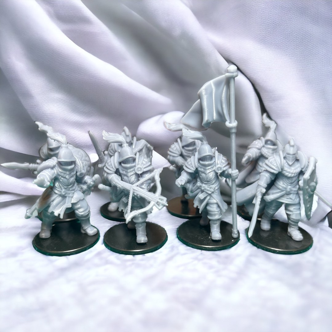 3D Printed Royal Guards for Dnd, Hobbies & Toys, Toys & Games on Carousell