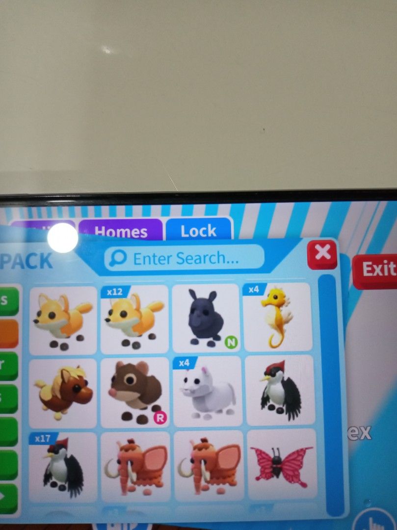 Adopt me pets mega lion, Video Gaming, Video Games, Others on Carousell