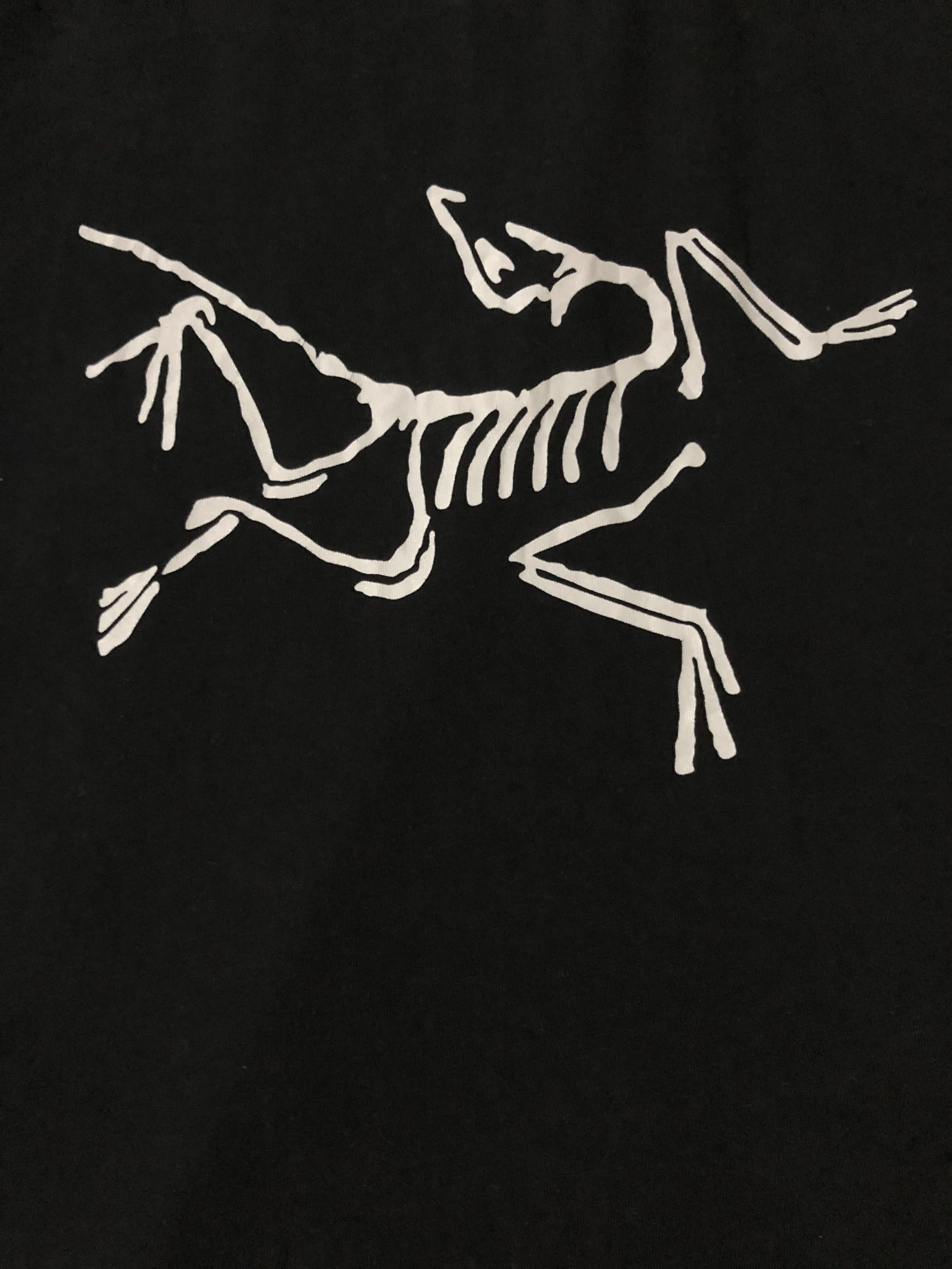 ARCTERYX, Men's Fashion, Tops & Sets, Tshirts & Polo Shirts on Carousell
