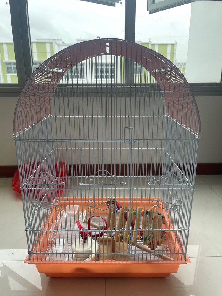 Bird cage for grab., Pet Supplies, Homes & Other Pet Accessories on ...
