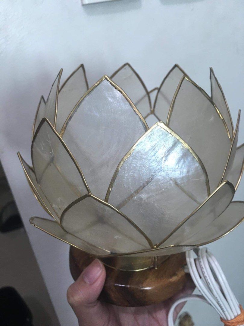 Capiz Shell cabbage lamp, Furniture & Home Living, Lighting & Fans ...