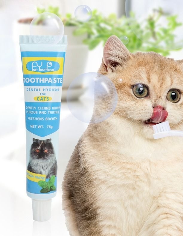 Cat Pet Toothpaste - non cat cage litter carrier condo, Pet Supplies ...