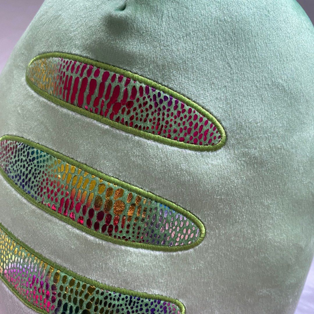 Denton the Chameleon 12" Squishmallow, Hobbies & Toys, Toys & Games on ...