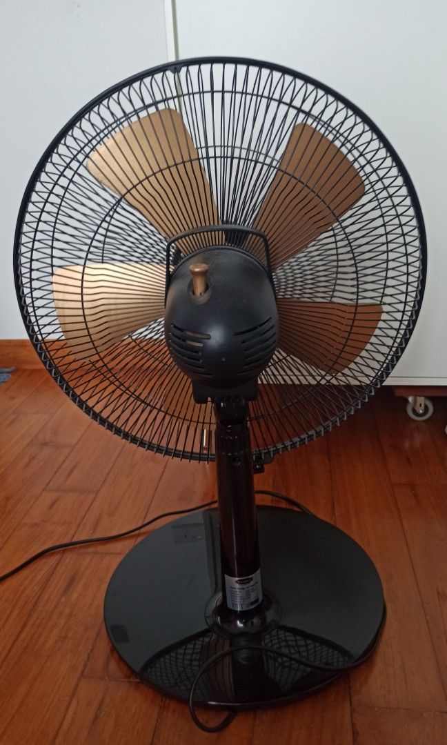 Europace Elegant Fan 18", Furniture & Home Living, Lighting & Fans ...