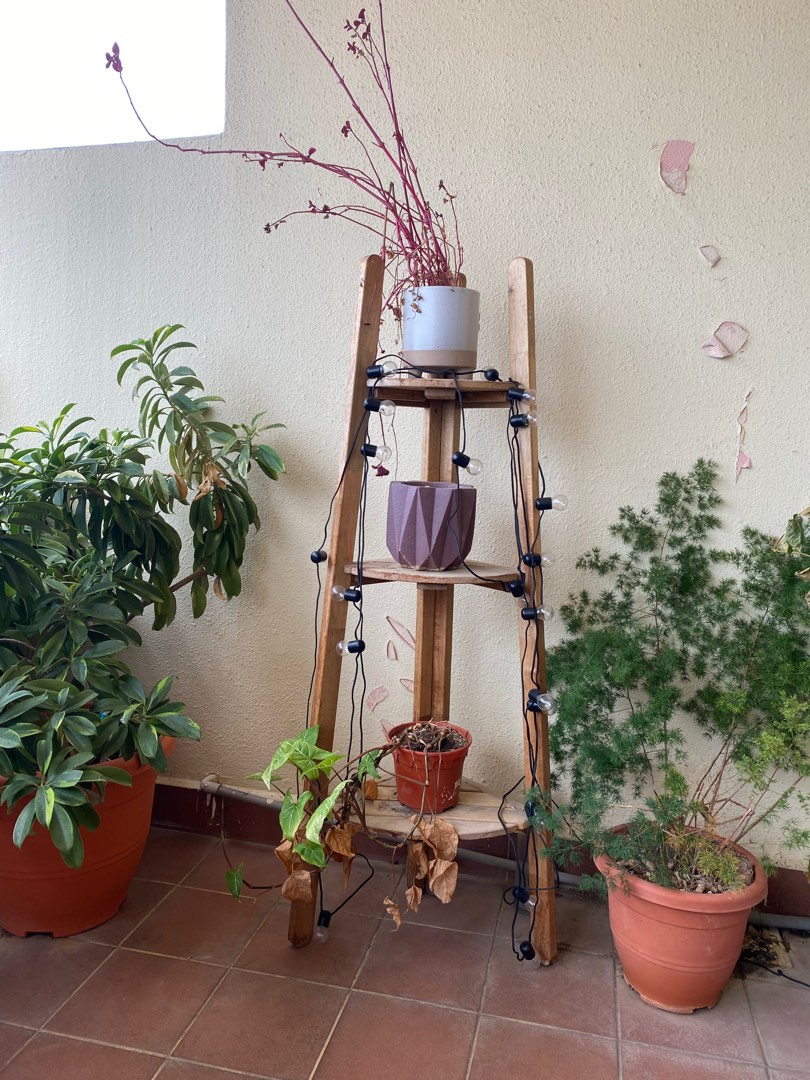 Flower stand - IKEA Askholmen, Furniture & Home Living, Outdoor ...