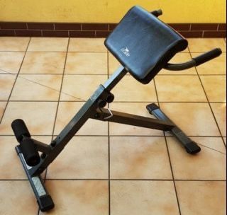 Folding Roman chair back extension workout bench, Sports Equipment ...