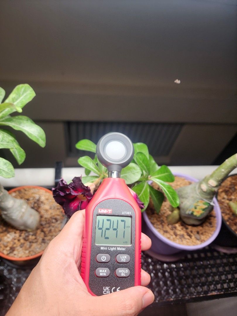 Guixiang grown light 70w WEN-8, Furniture & Home Living, Gardening ...