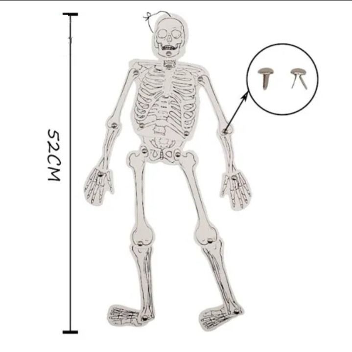 Paper Human Skeleton Small Science Experiment Educational Early ...