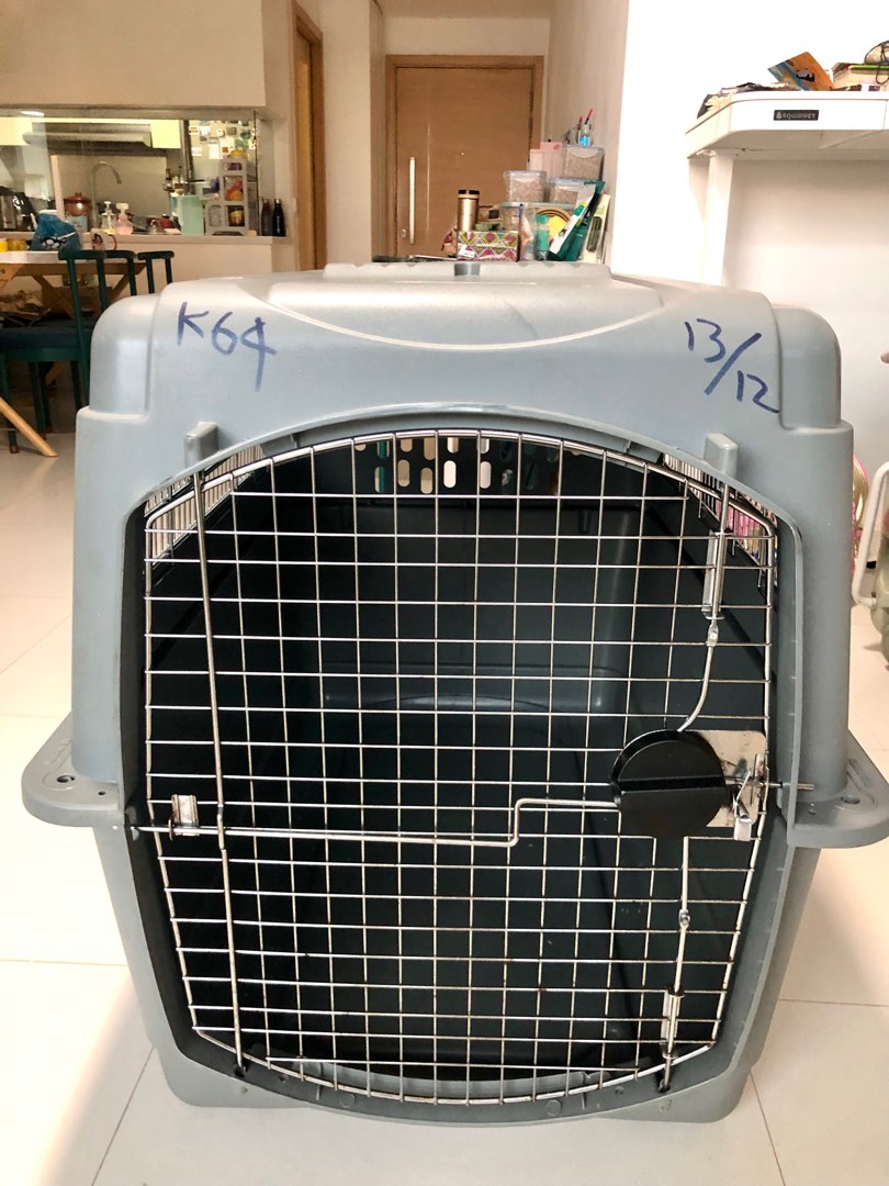 Petmate Sky Kennel Airline Crate (Large), Pet Supplies, Homes & Other ...