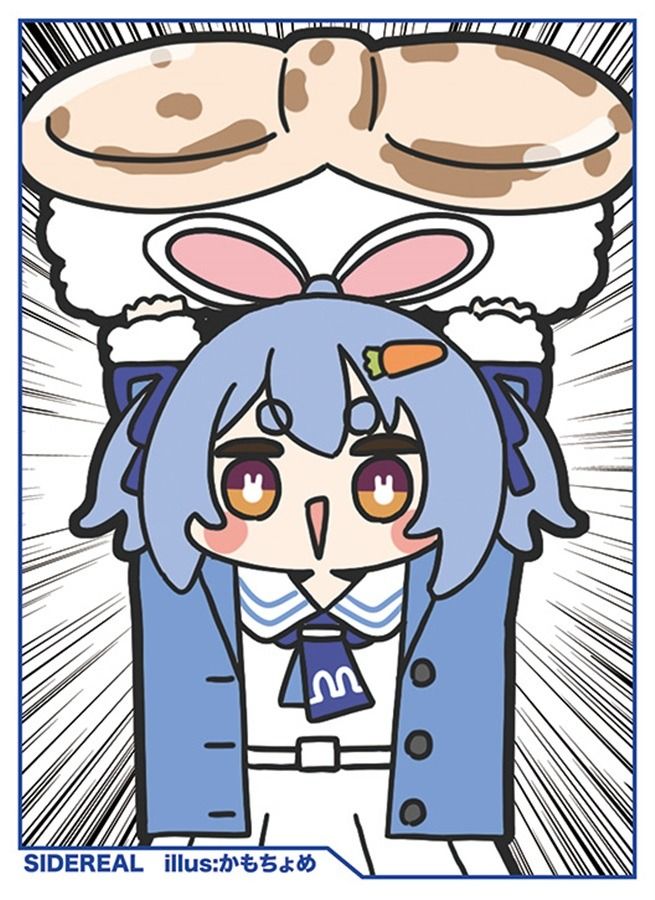 [PO till 15 June 2023] Hololive Comiket Doujin card Sleeves EN Sakamata ...