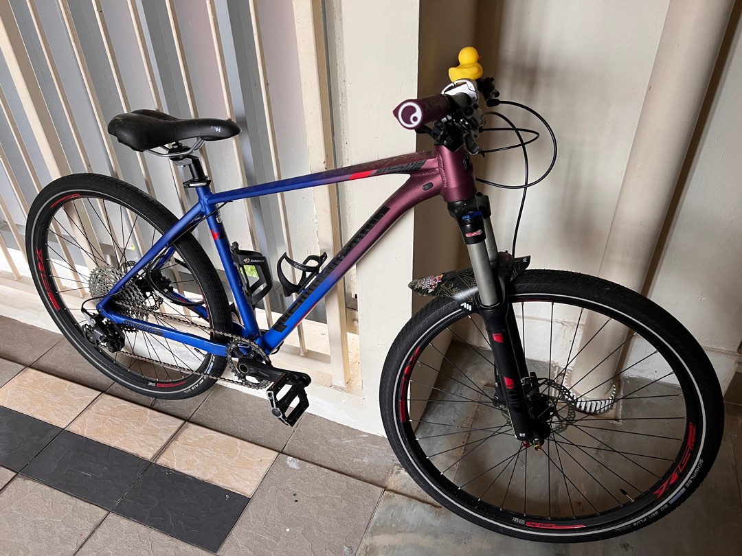 Polygon Xtrada 7 (Limited Edition 2021), Sports Equipment, Bicycles ...
