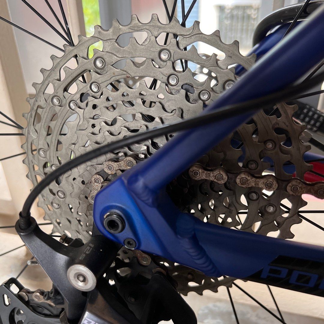 Polygon Xtrada 7 (Limited Edition 2021), Sports Equipment, Bicycles ...