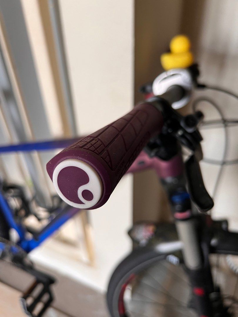 Polygon Xtrada 7 (Limited Edition 2021), Sports Equipment, Bicycles ...
