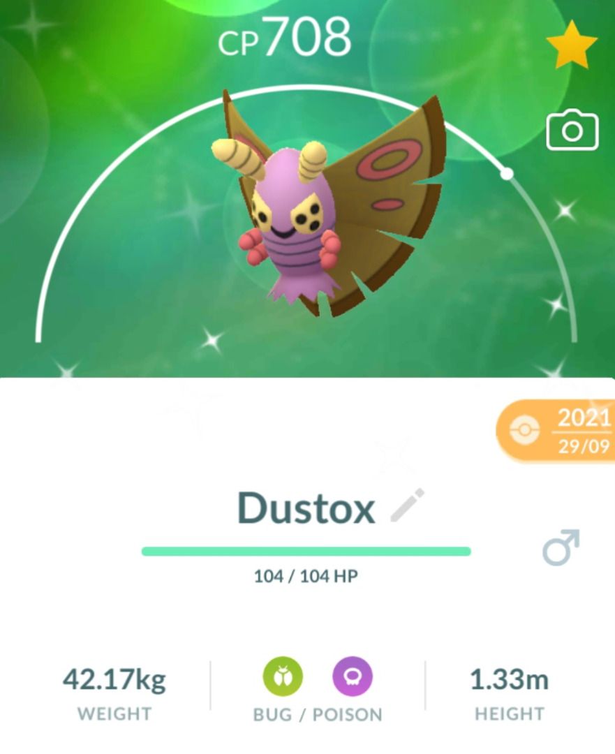 shiny dustox