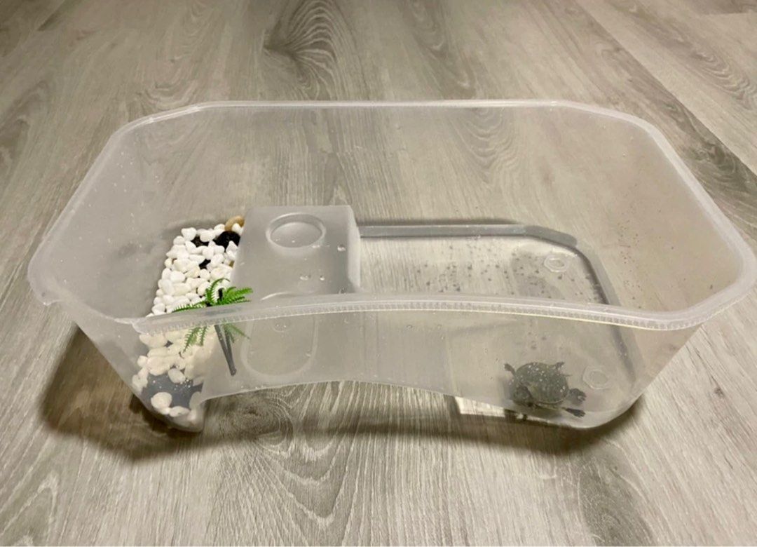 Terrapin Tortoise Turtle Tank Vivarium with Ramp Basking, Pet Supplies ...