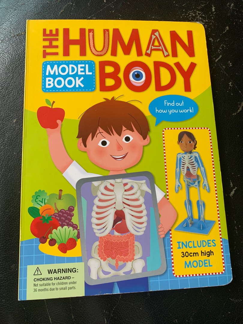 The human body model book, Hobbies & Toys, Books & Magazines, Children ...