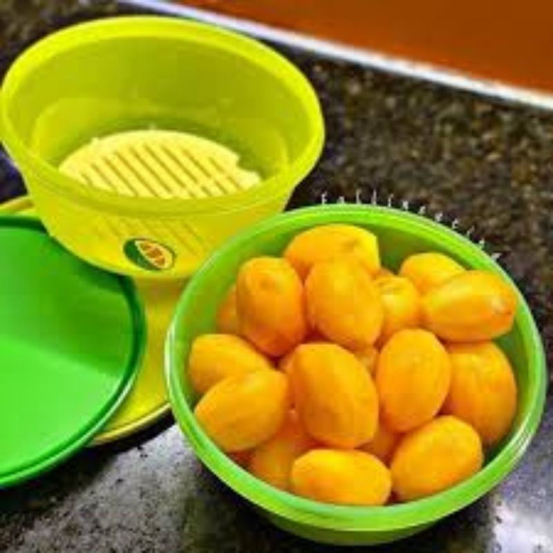 Tupperware 1.5L Ultimate Durian Keeper Storage Container with Lid Cover ...