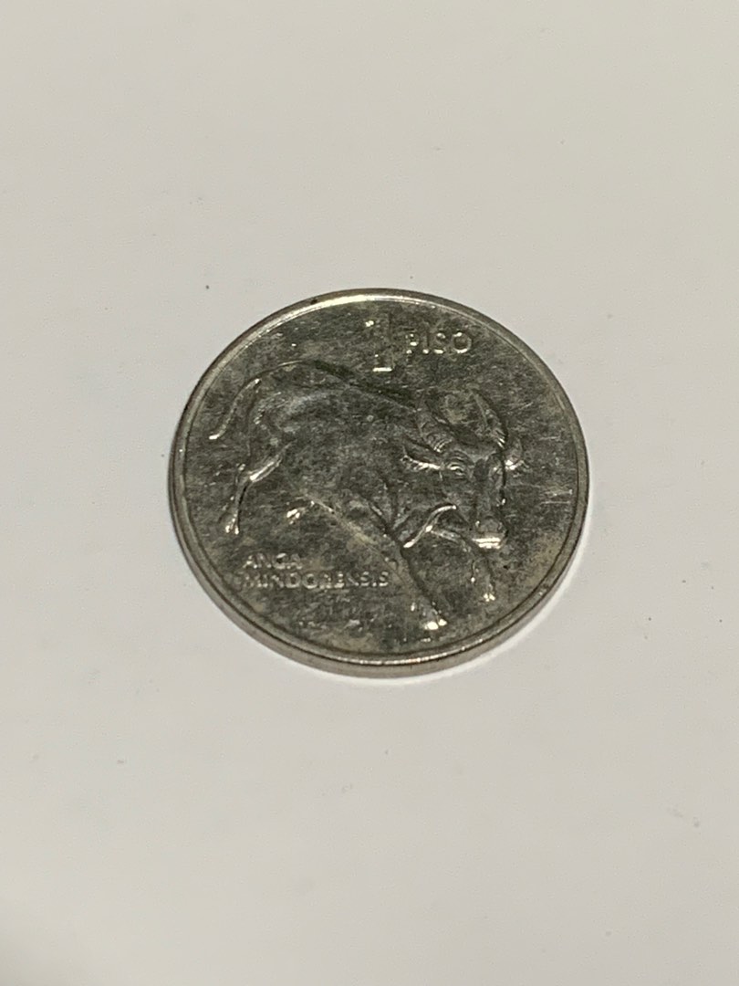 1993 Piso Coin Jose Rizal, Hobbies & Toys, Memorabilia & Collectibles ...