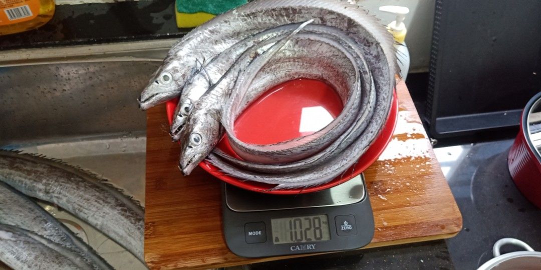 Seafood Belt Fish (freshly caught), Food & Drinks, Other Food & Drinks ...