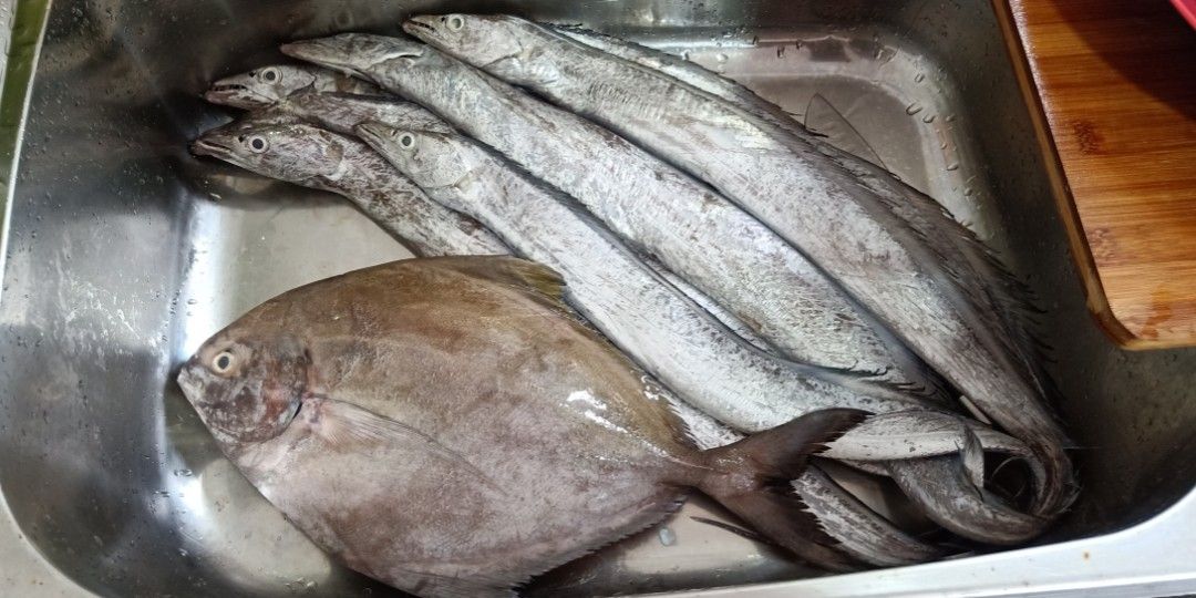 Seafood Belt Fish (freshly caught), Food & Drinks, Other Food & Drinks ...