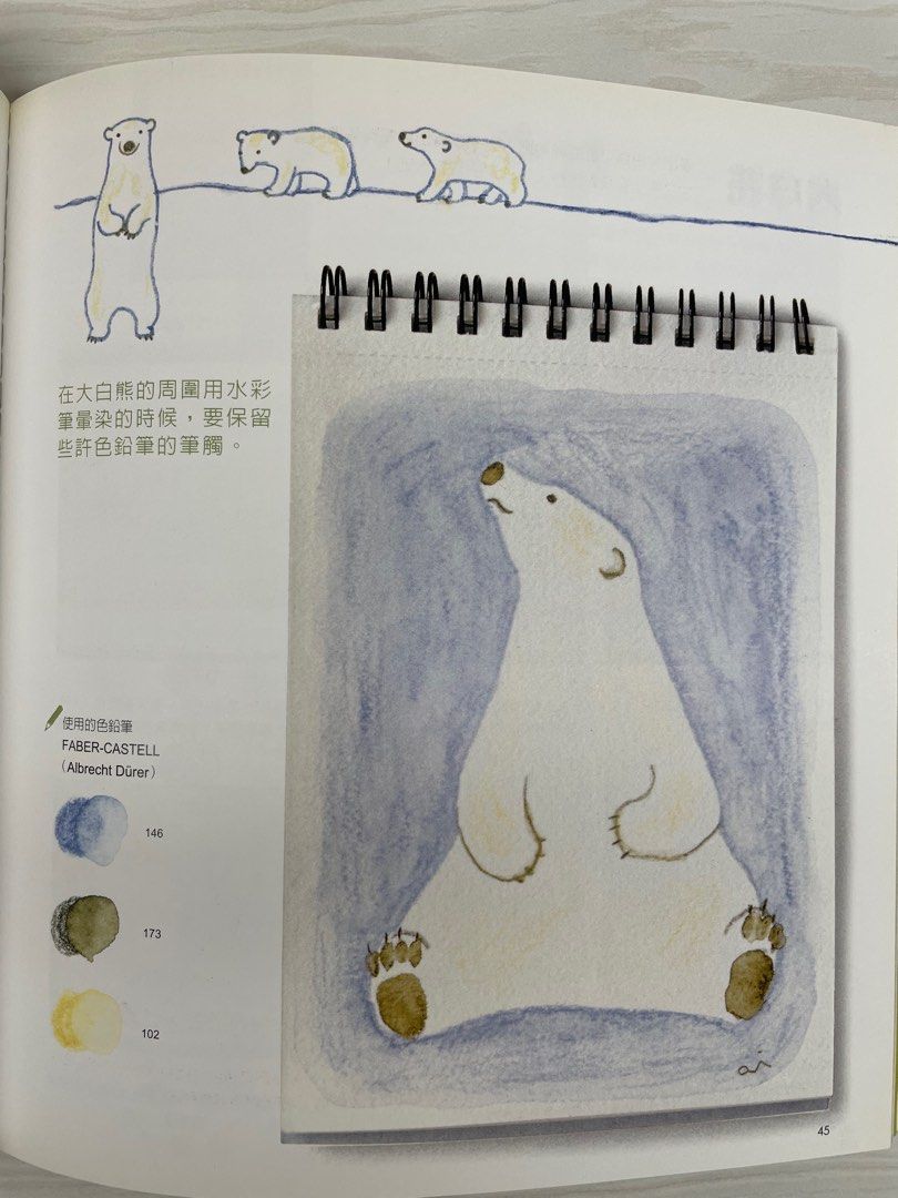 Chinese colour pencil drawing book, Hobbies & Toys, Books & Magazines ...