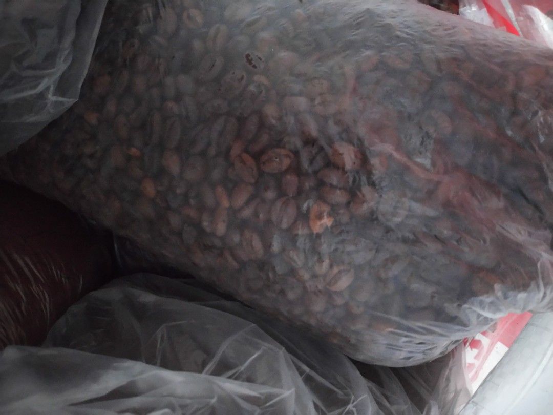 COTABATO PREMIUM NATIVE COFFEE (GUARANTEED DELICIOUS), Food & Drinks ...