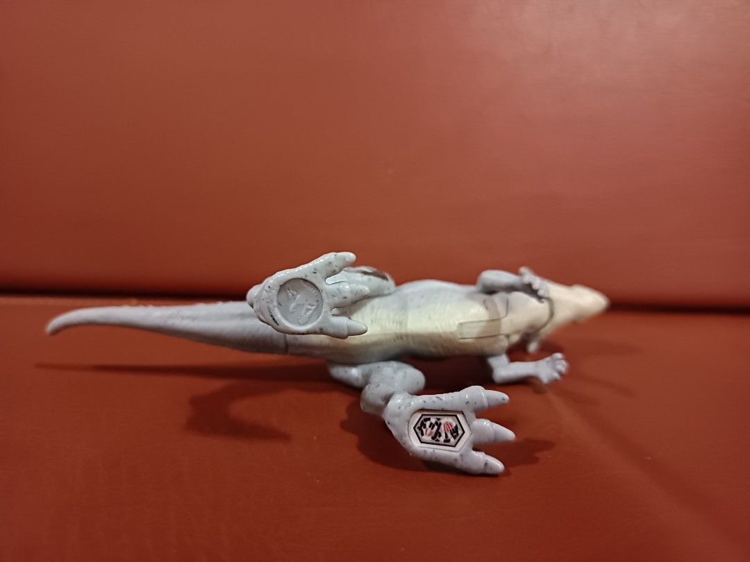 Jurassic World Dino Rivals Dracorex Grey Variant Rare, Hobbies & Toys ...
