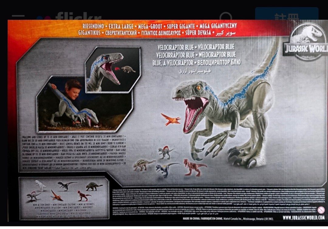 Jurassic World Super Colossal Raptor Blue, 興趣及遊戲, 玩具 & 遊戲類 - Carousell