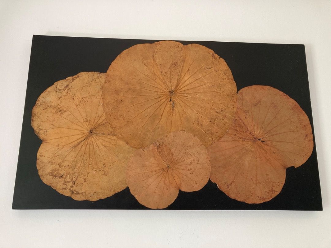 Lotus flower wall panel, Furniture & Home Living, Home Decor, Frames ...