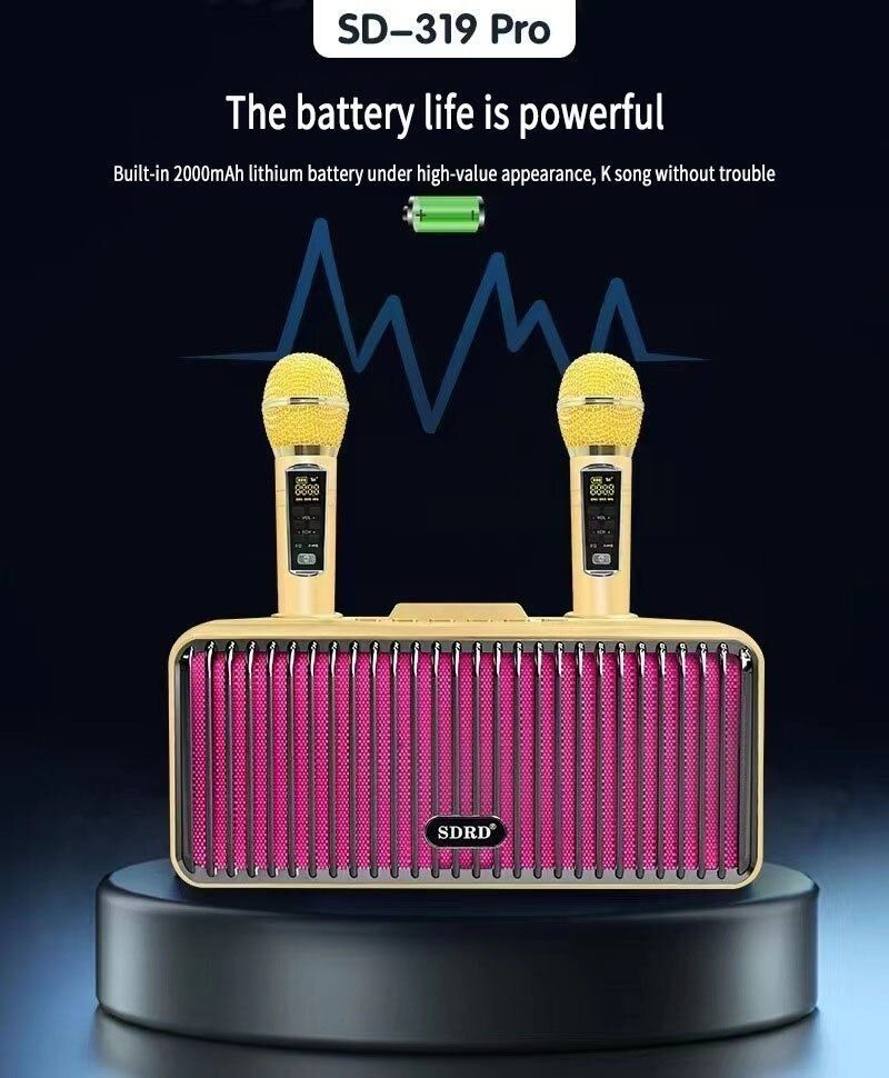 SDRD 319 PRO Home Theater Karaoke Machine with Dual Wireless Microphones Multi-function Home KTV ...