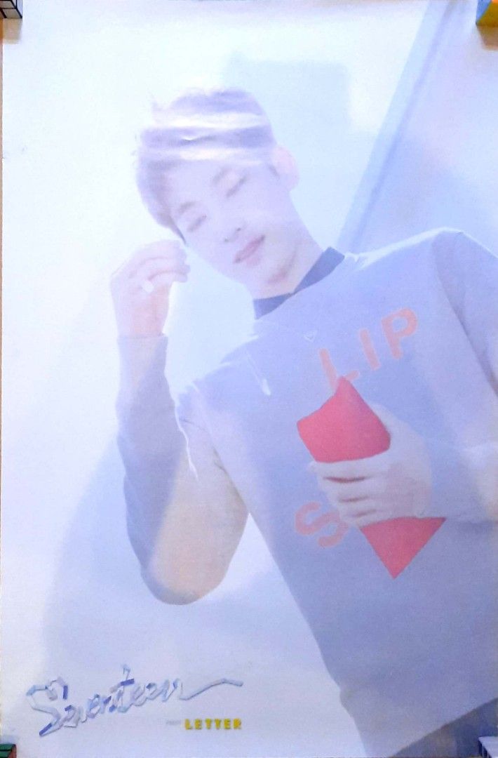 Seventeen Wonwoo Poster, Hobbies & Toys, Memorabilia & Collectibles, K ...