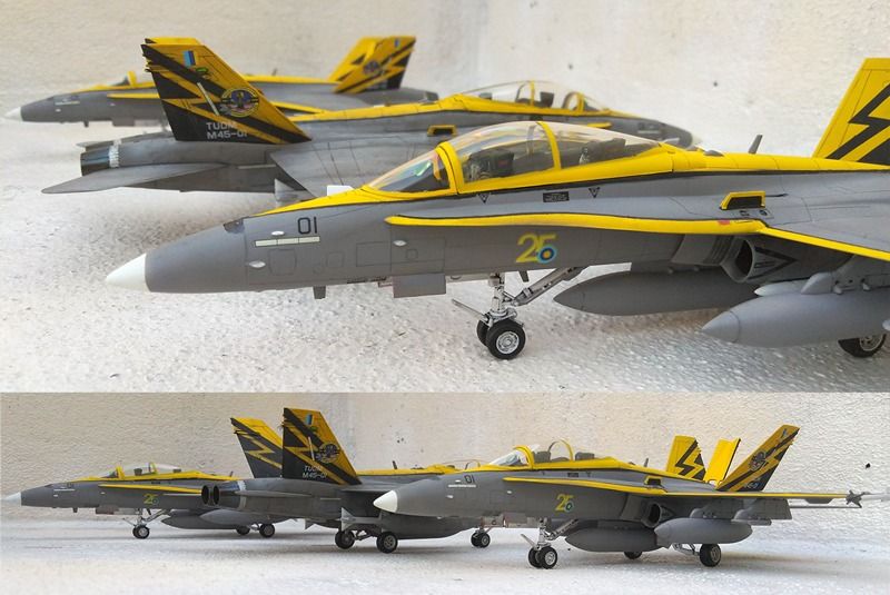 1/72 Hasegawa F/A-18D 25th Anniversary TUDM RMAF, Hobbies & Toys, Toys ...
