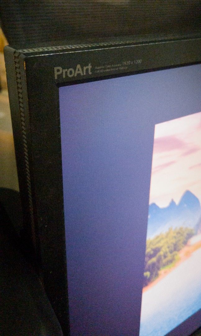 ASUS PA248Q Monitor 24" IPS Display for professional work, Computers ...